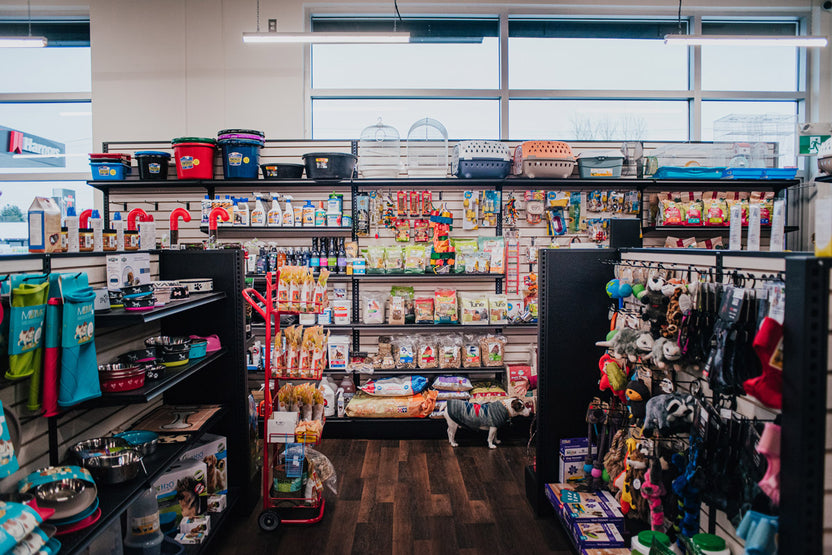 Animo Etc – Animo Etc.