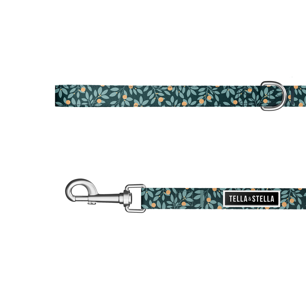 Tella&Stella Nectar Cat Leash – Animo etc
